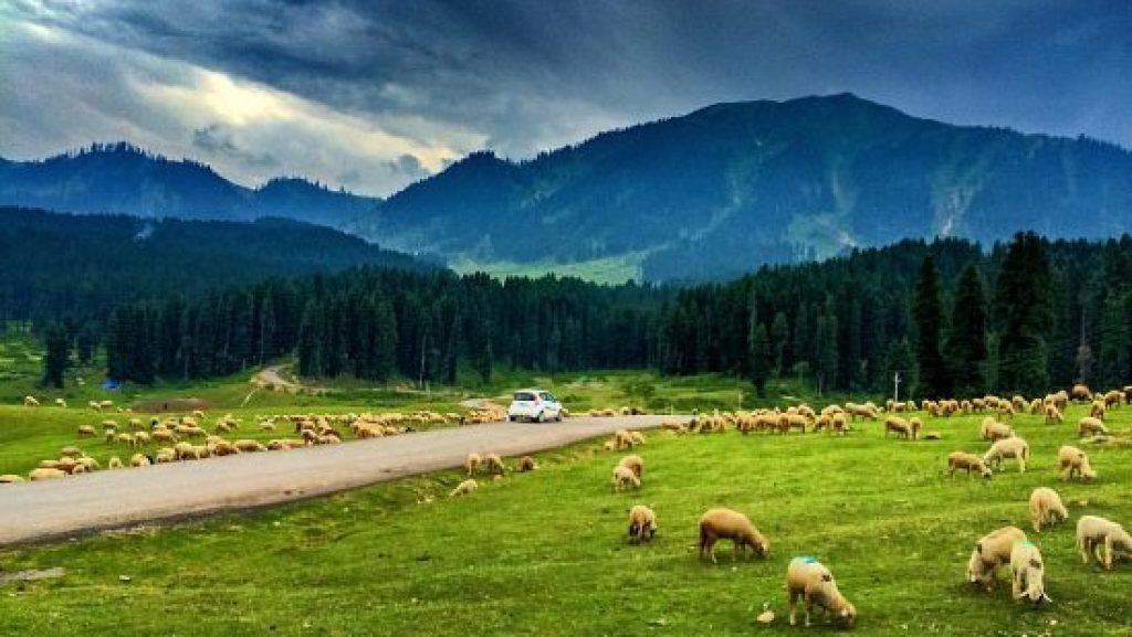 The Beauty of Kashmir Exploring Landscapes - Swastik Tours